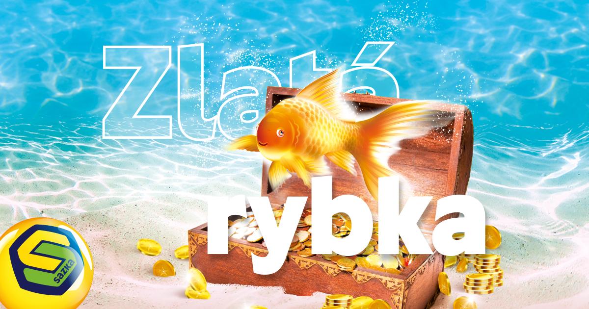 Losy Zlatá rybka recenze, výhry a kolik stojí [2025] - Mecenas.cz